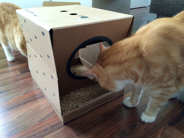 Poopy Cat Katzenklo - Die Einwegtoilette im Test